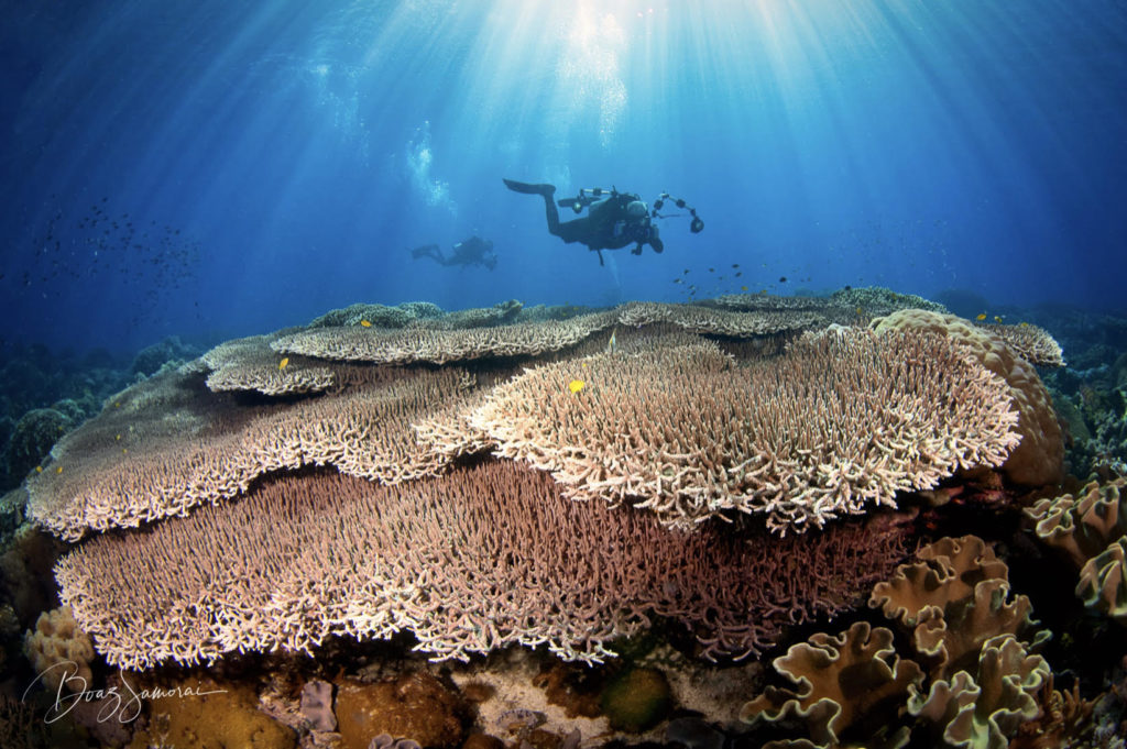 Philippines – Atlantis @ Dumaguete – Salem Scuba